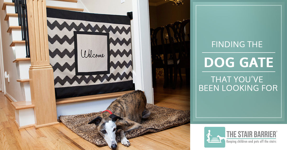 Pet Gate for Stairs: Finding the Dog Gate That You’ve Been Looking For ...