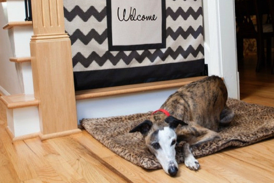 Dog Gates For Stairs: Boundaries For Your Pet In Your Home – THE STAIR ...