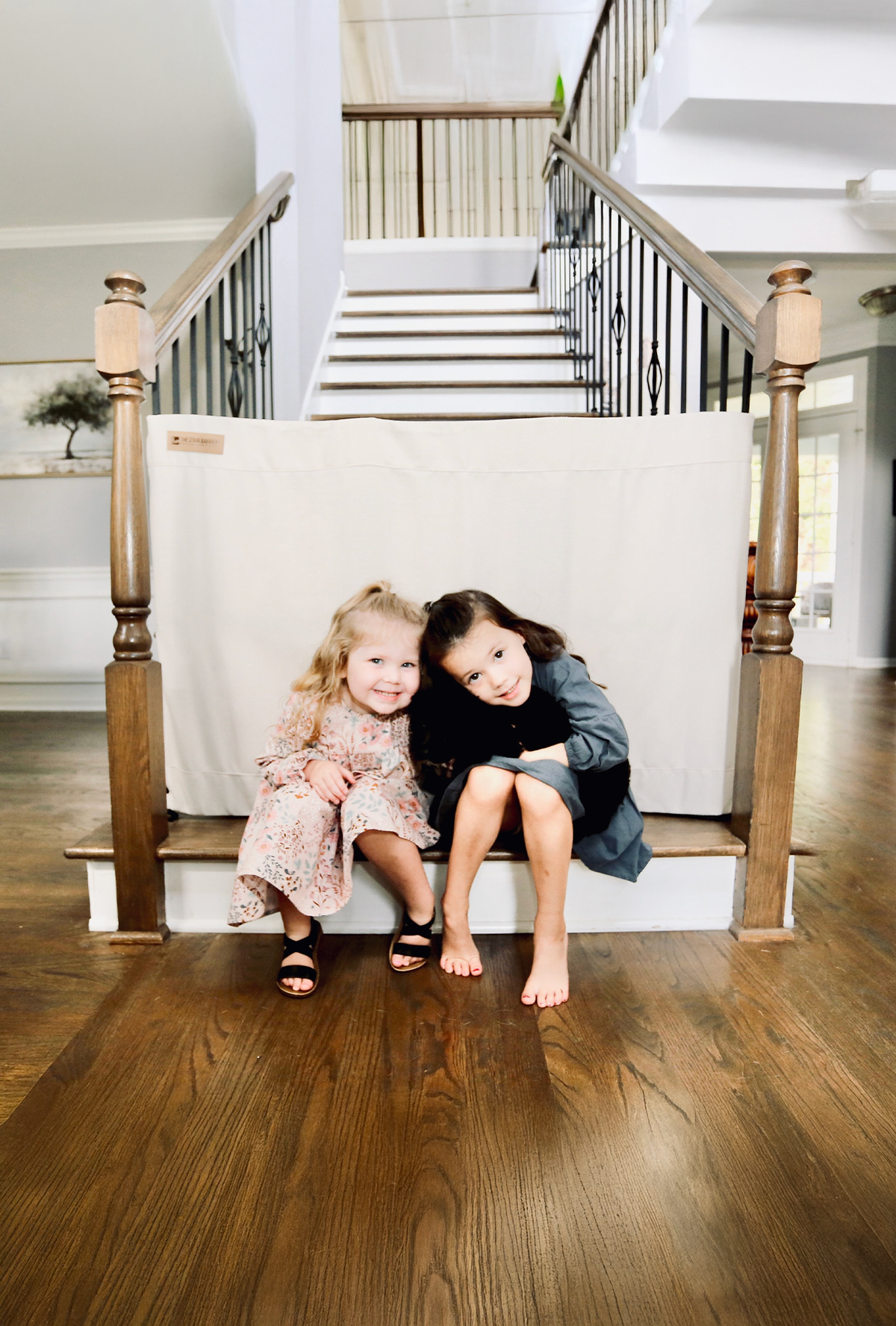 The Stair Barrier® - The Best Pet & Child Safety Gate – THE STAIR BARRIER